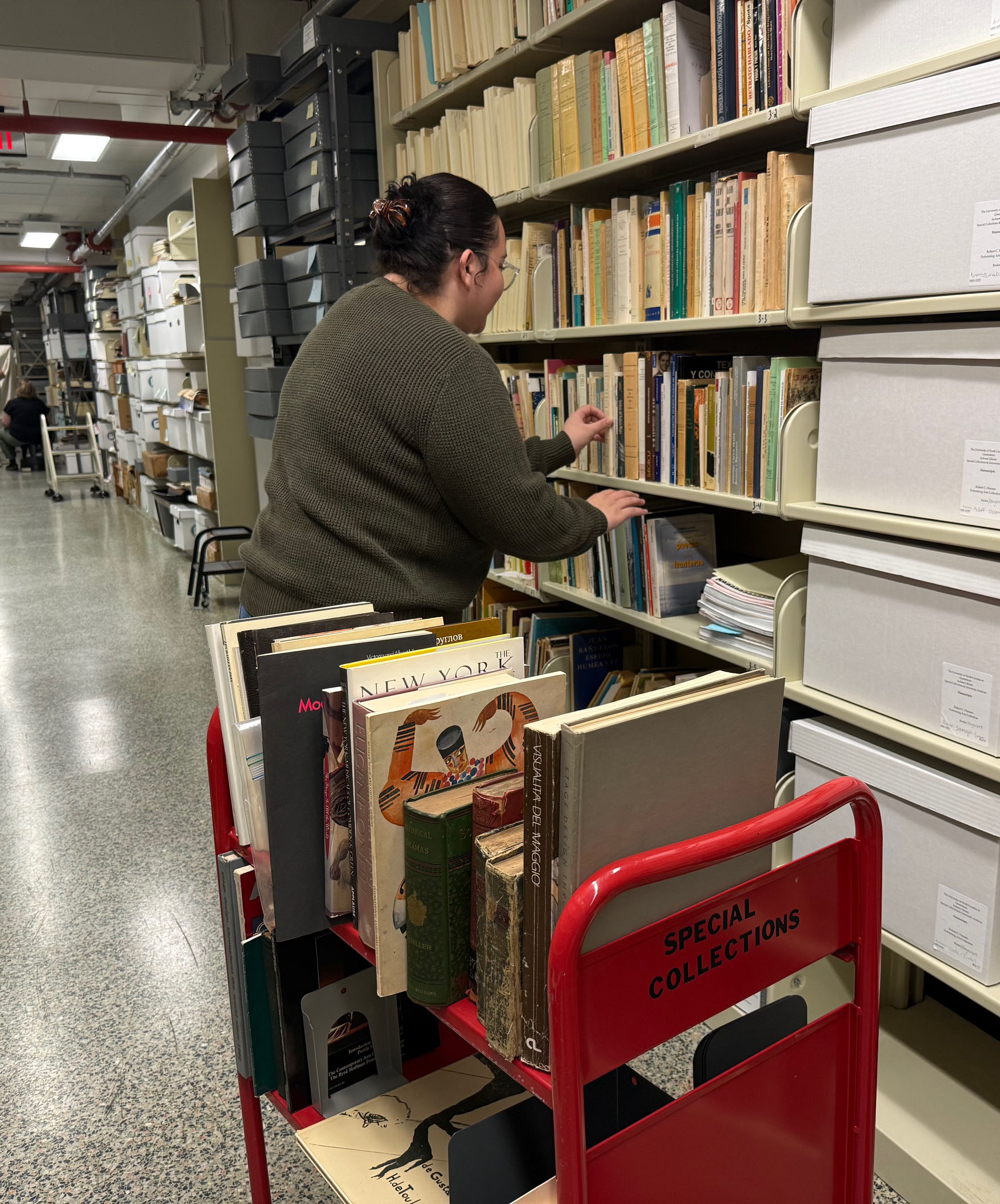 Hodges Fellowship Program | UNCG University Libraries